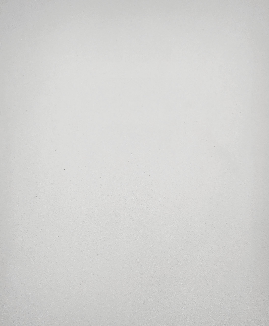 MW 238 STM – Max World Marketing